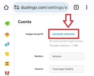 ≫ Como Cambiar La Imagen De Perfil En Duolingo 2025